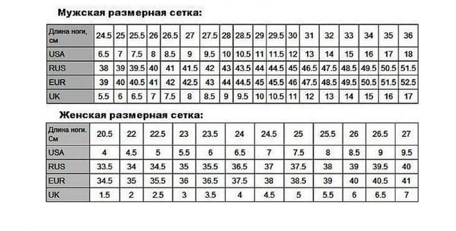 Какому размеру обуви соответствует длина стопы 24,5 см?