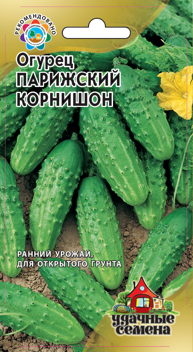 Огурцы парижский корнишон. Что за сорт, какие отзывы?