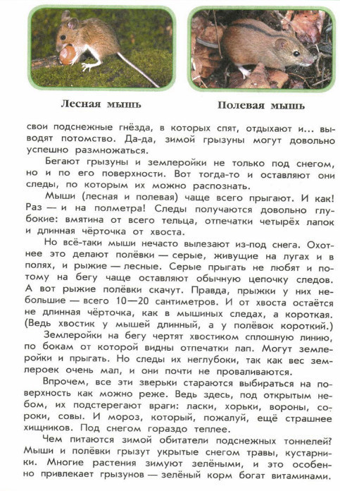Животные лесных зон, интересные факты 4 класс Зеленые страницы-где читать?