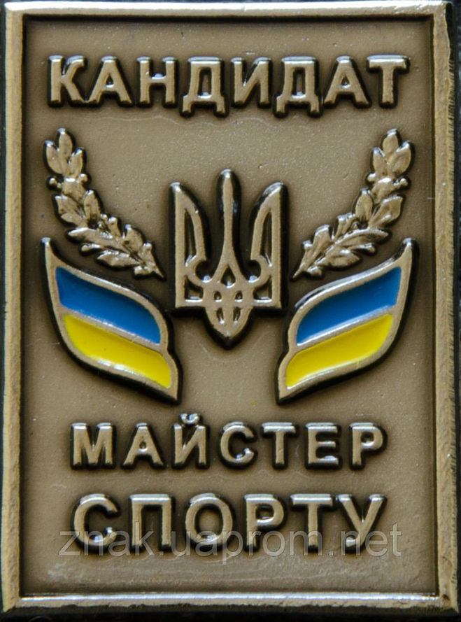Значок КМС по боксу. Какой он?