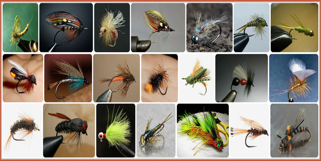 Мушки для нахлыста - какая вообще рыба на них ловится?